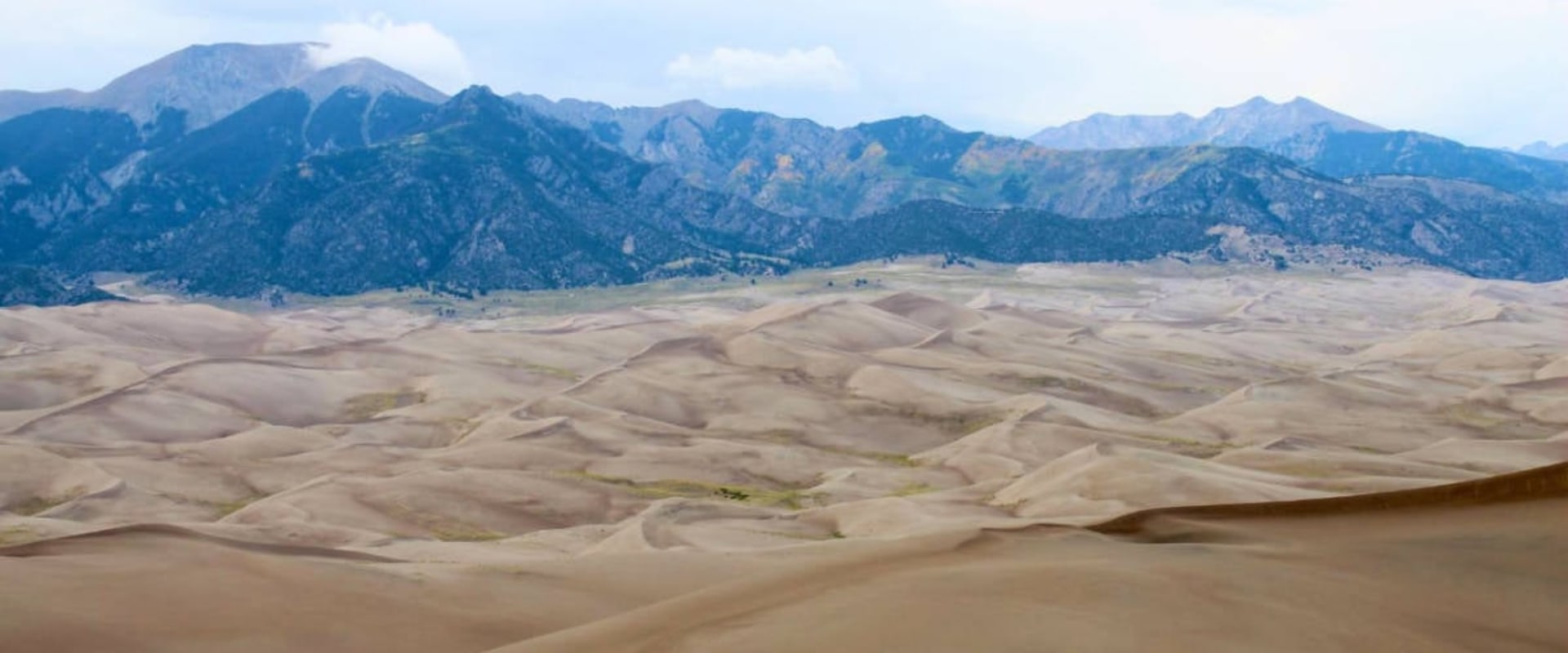 The Ultimate Guide to Sand Driving in Louisiana: Tips, Techniques, and ...